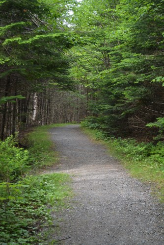 Chignecto Campground - Fundy National Park - review • A Crock of Schmidt