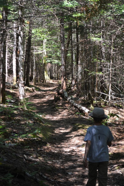 Chignecto Campground - Fundy National Park - review • A Crock of Schmidt