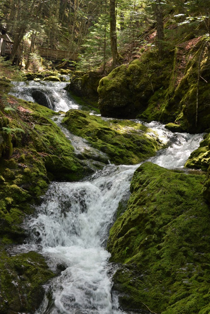 Chignecto Campground - Fundy National Park - review • A Crock of Schmidt