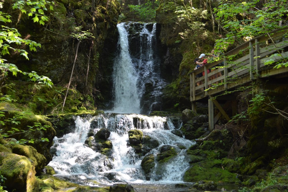 Chignecto Campground - Fundy National Park - review • A Crock of Schmidt