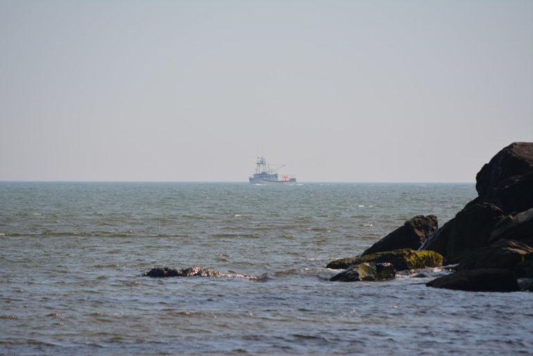 Chignecto Campground - Fundy National Park - review • A Crock of Schmidt