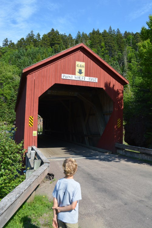 Chignecto Campground - Fundy National Park - review • A Crock of Schmidt