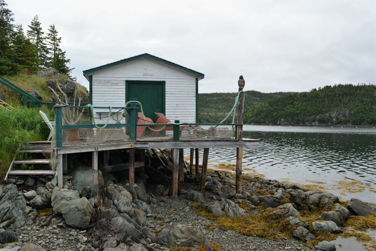 Coffee Cove Seaside Retreat Part 1 - Where To Stay • A Crock of Schmidt