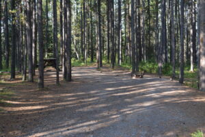 Two Jack Main Campground - Banff National Park - review • A Crock of ...