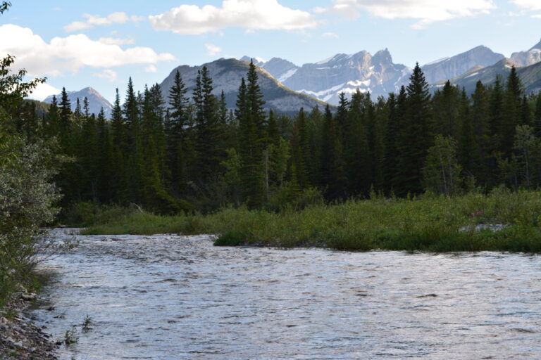 Mt Kidd RV Park - new review • A Crock of Schmidt