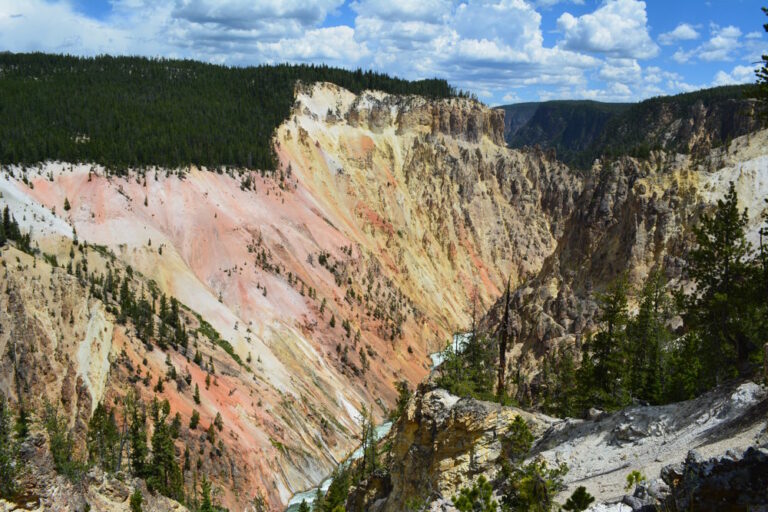 Three Nights in Yellowstone National Park • A Crock of Schmidt