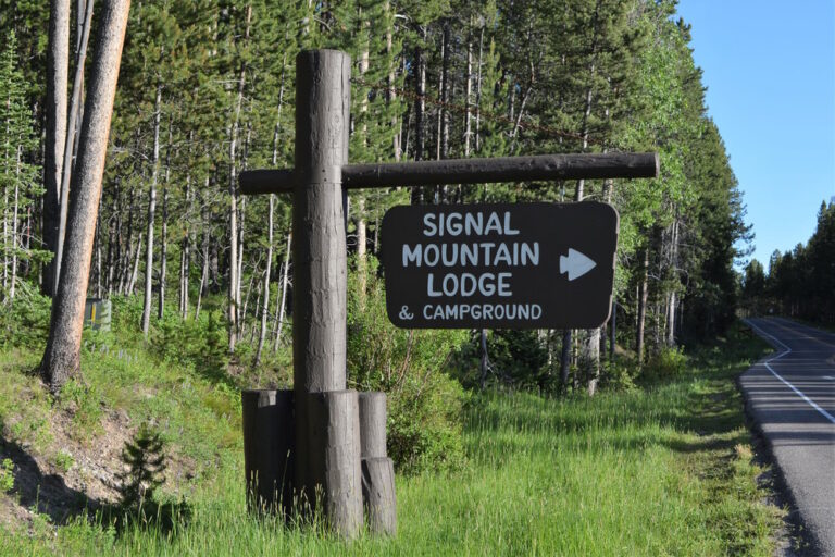 Signal Mountain Campground - Grand Teton National Park - review • A ...