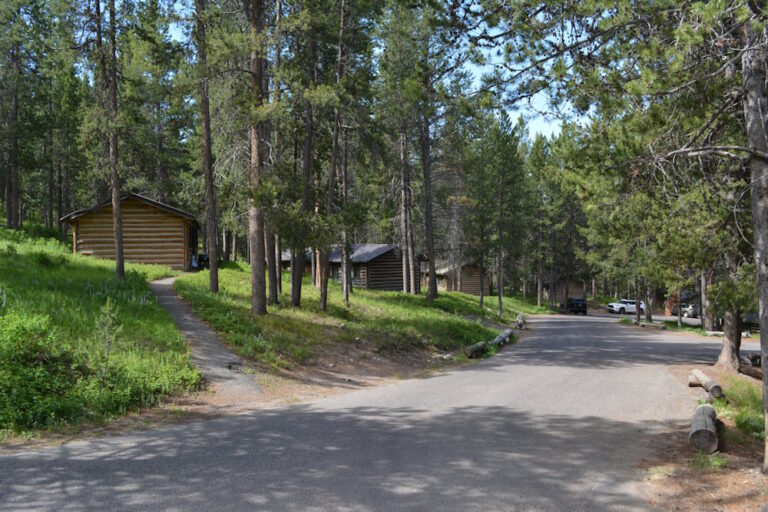 Colter Bay Campground- Grand Teton National Park - review • A Crock of ...