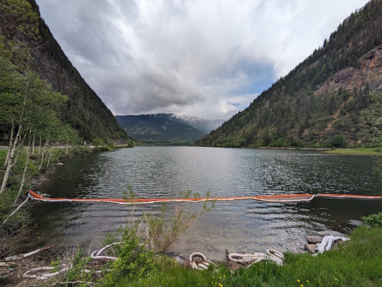Snowforest Campground - Mount Revelstoke National Park - review • A ...